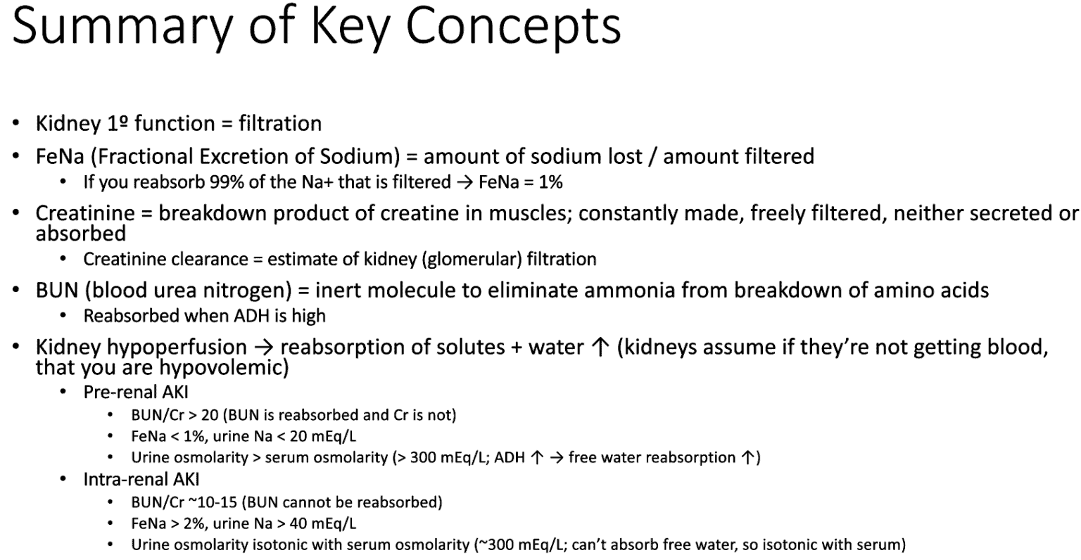 Sample Lesson – Pre-Renal vs. Intra-Renal vs. Post-Renal AKI